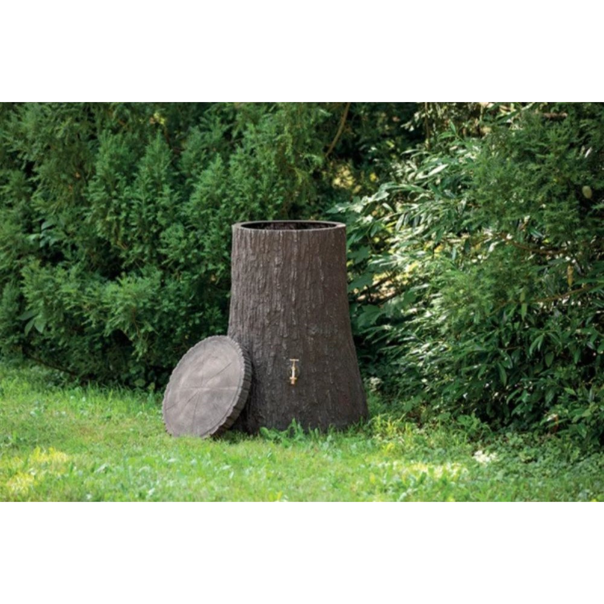 ᐉ Regenwatertank Prosperplast Arves Little Tree, 250L – Topprijzen ...